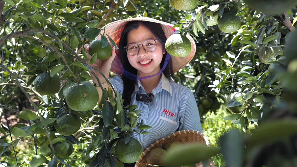 From Orchard to Bottle – Discover the Orange Farm Behind Rita Food ...